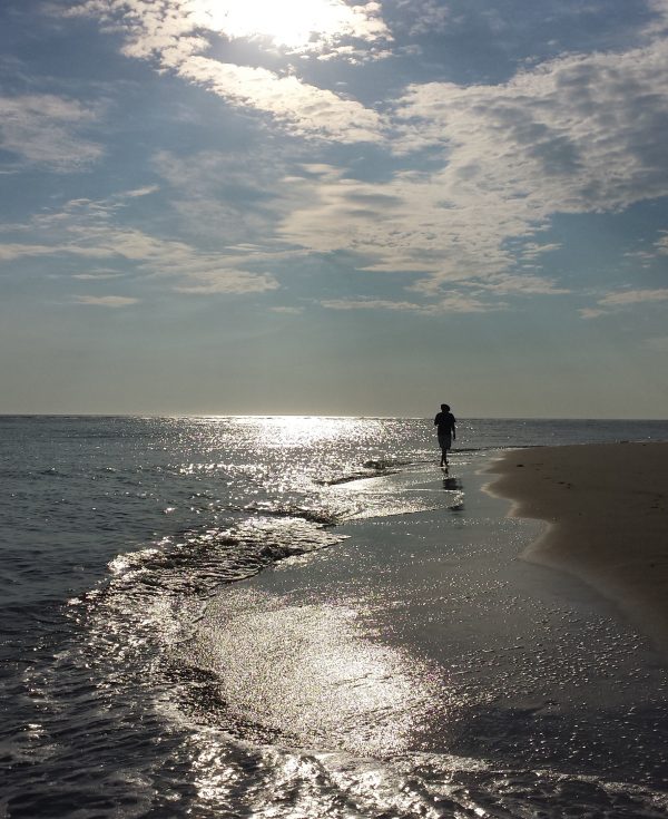 Where The Ocean Meets the Bay ⋆