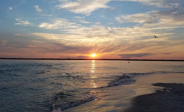 Where to Stay in Townsends Inlet ⋆