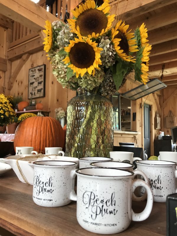 Top Five Reasons to Love Beach Plum Farm ⋆