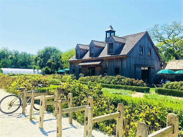 Top Five Reasons to Love Beach Plum Farm ⋆