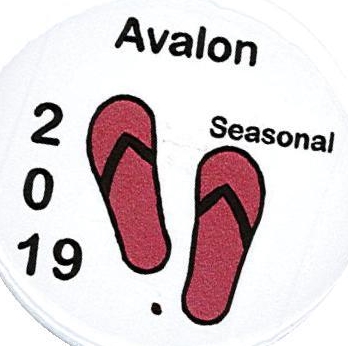 Beach Tags: What Are They Good For? (Absolutely Everything!) ⋆