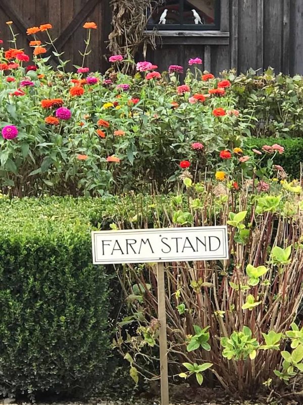 Top Five Reasons to Love Beach Plum Farm ⋆