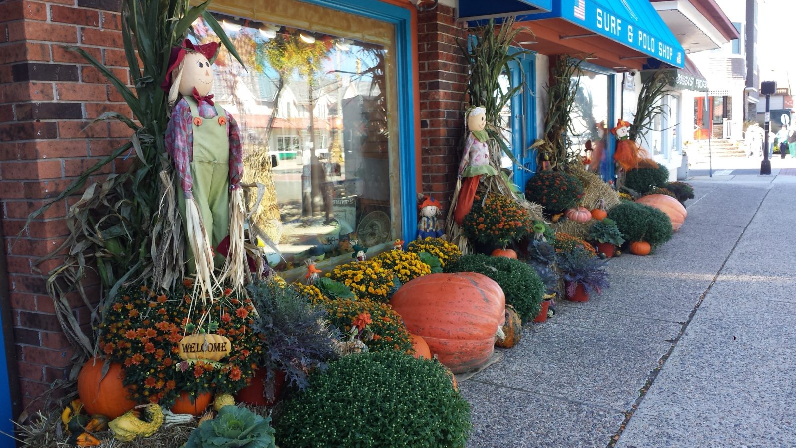 Things to Do at the Shore ⋆ Attractions, events, festivals