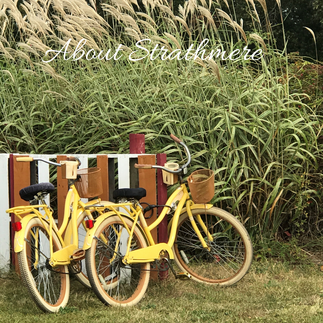 Strathmere ⋆ Where the Ocean Meets the Bay ⋆ The Shore Blog