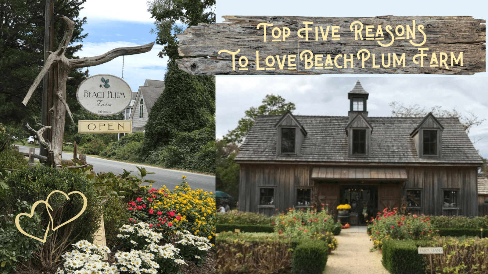 Top Five Reasons to Love Beach Plum Farm ⋆
